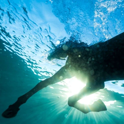 Countdown To Dream Nails - You Wish | Release Date